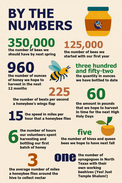 The Buzz about Temple Shalom’s Beehives - Temple Shalom